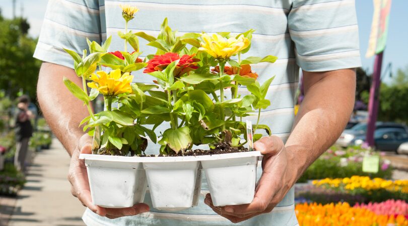 6 Montgomery Plant Nurseries - ARC Realty Blog