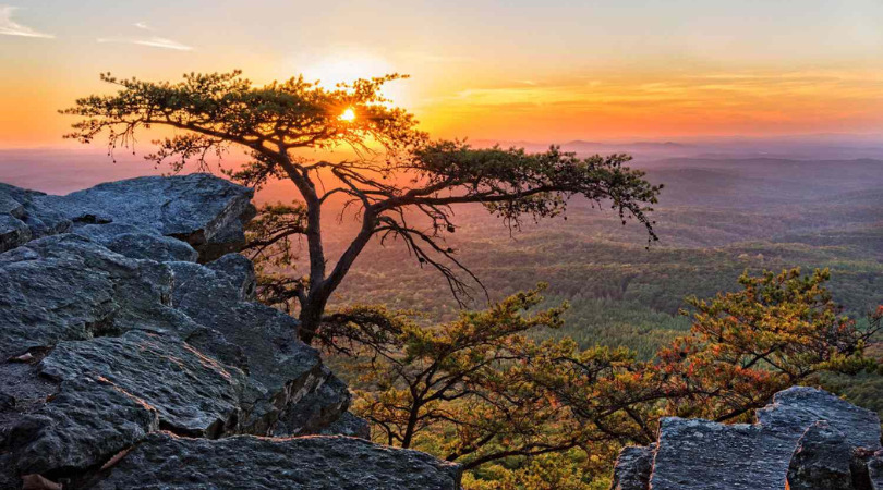 Camping in Central Alabama - ARC Realty Blog