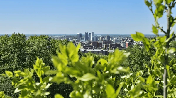 August 2025 Events in Birmingham, Alabama - ARC Realty Blog